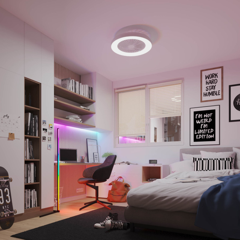 KIT DRESSING NEW STAR TOPENGA